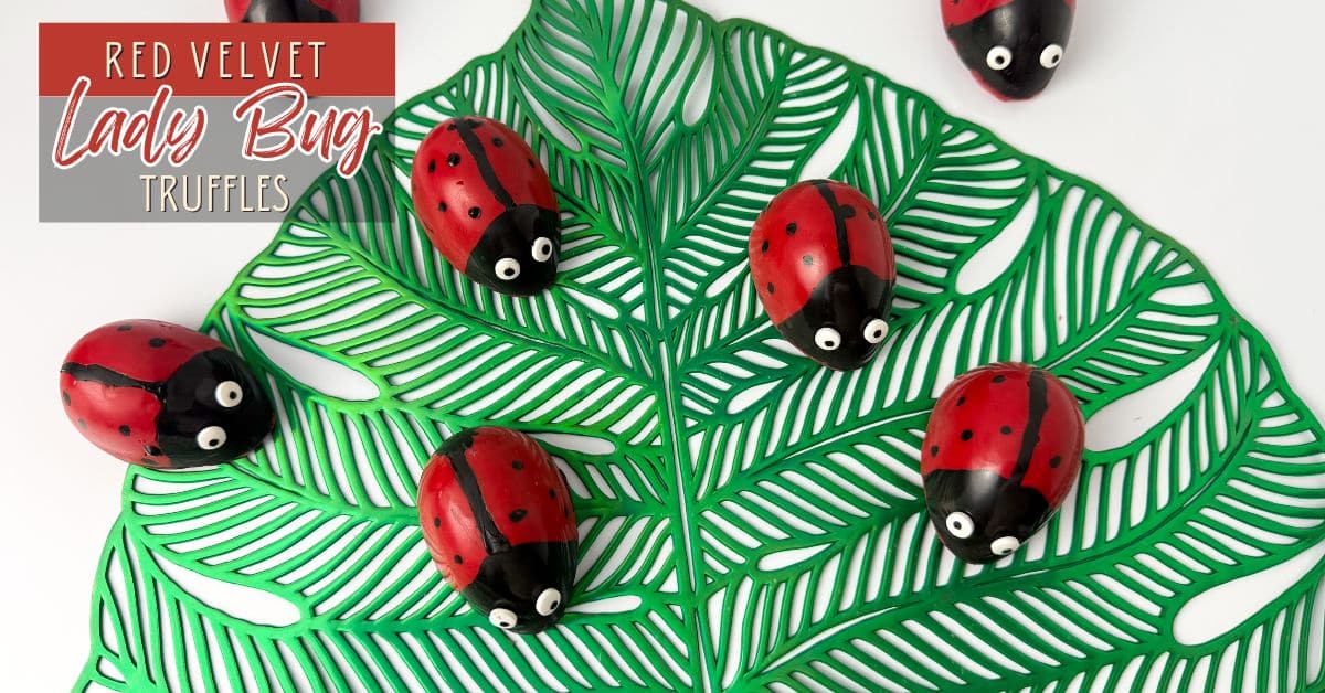 Red Velvet Lady Bug Truffles